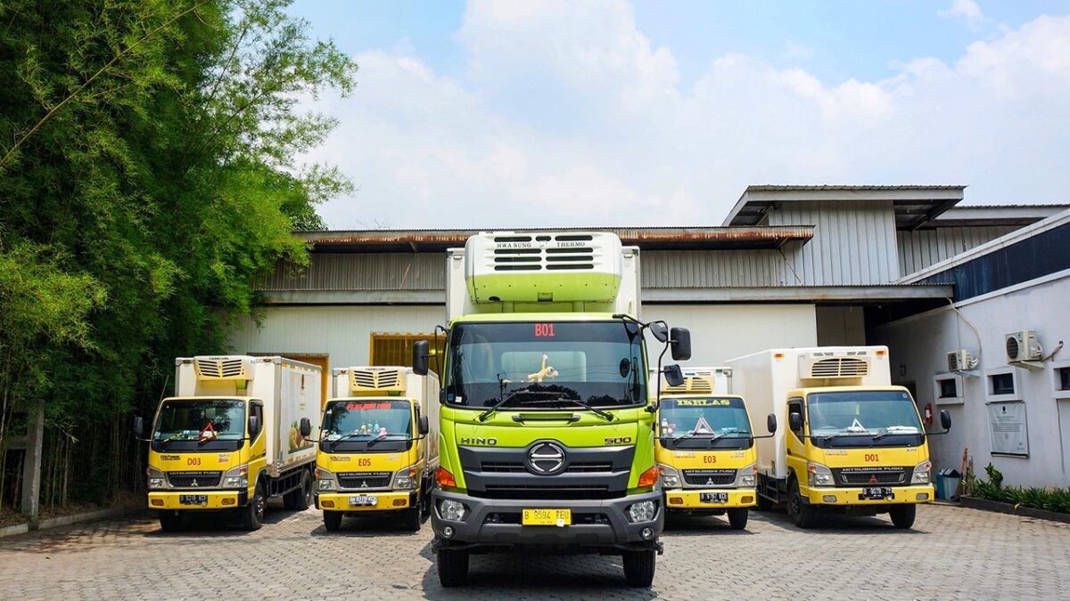 Supplier Daging Sapi Import - Hijrahfood Group - Distributor & Supplier ...